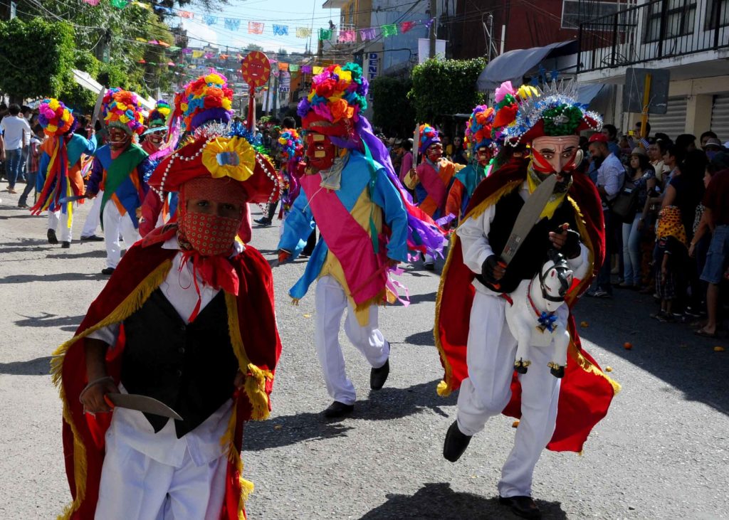 ¡Conozcan los Guamuchiles o Pinzanes! - Guerrero Life