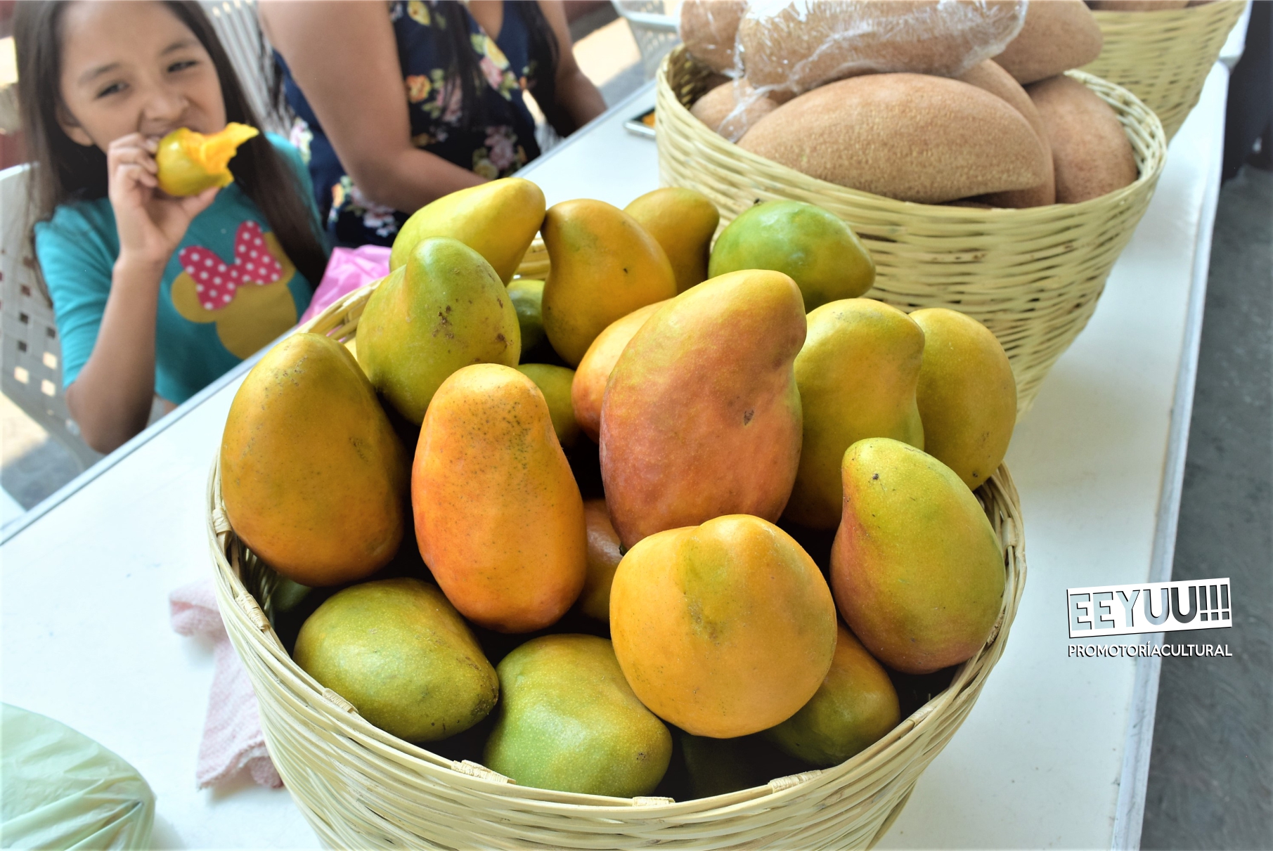 El MANGO DE GUERRERO QUE ES INTERNACIONAL - Guerrero Life